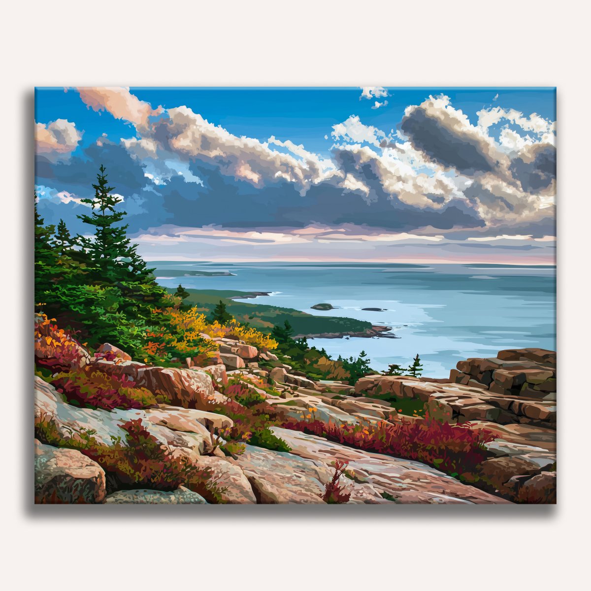 Acadia National Park Paint by Numbers Kit