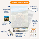 Custom Paint by Numbers Kit [Buy 2, Get 1 Free]