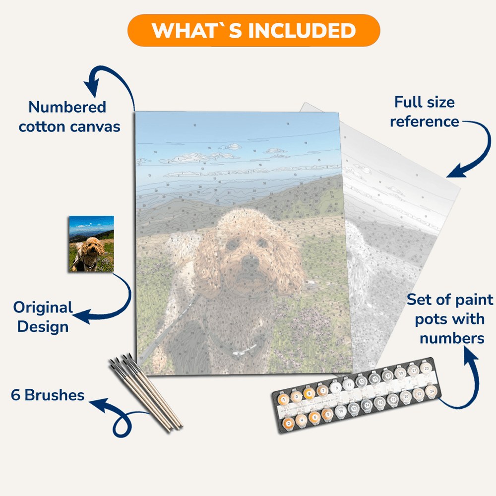 Number Artist Paint by Numbers Kit for Adults and Kids